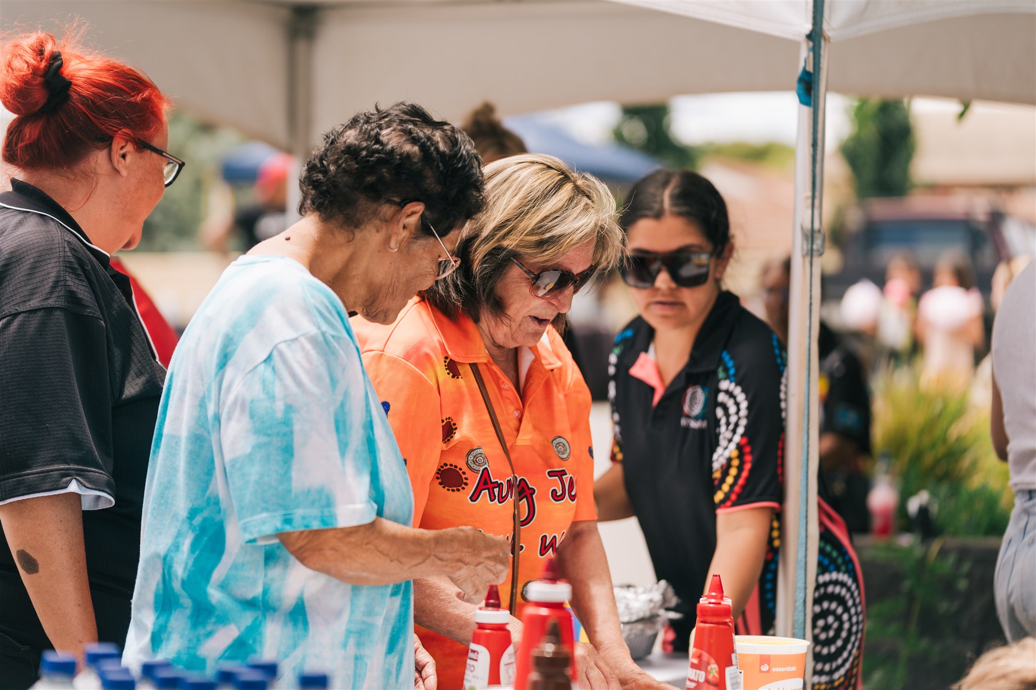 Preservation Support Program (Family Preservation)